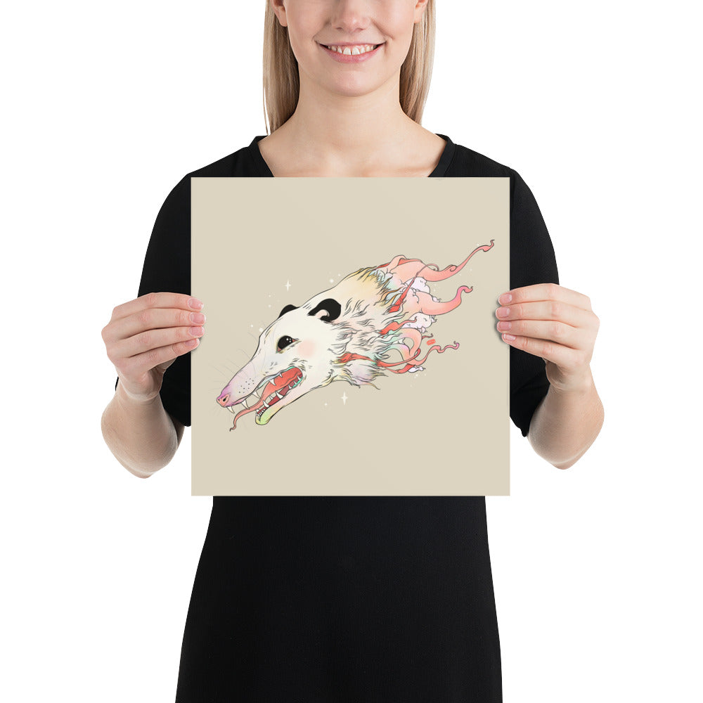 Opossum, Matte Art Print Poster